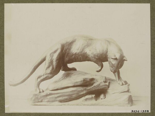 Photograph | White, Arthur Rhodes | V&A Explore The Collections