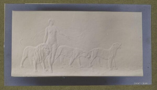 Photograph | White, Arthur Rhodes | V&A Explore The Collections