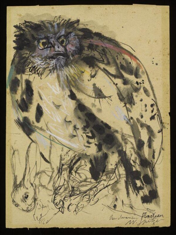 Drawing | Spitzer, Walter | V&A Explore The Collections