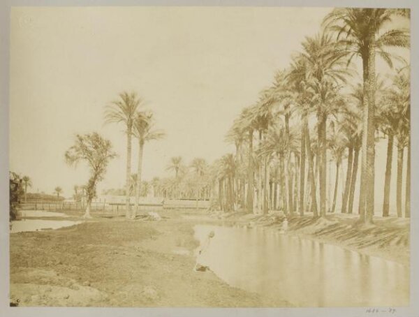 The Nile, Egypt | Sebah, Pascal | V&A Explore The Collections