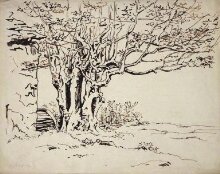 A gnarled tree next to a wall | Beatrix Potter | V&A Explore The ...