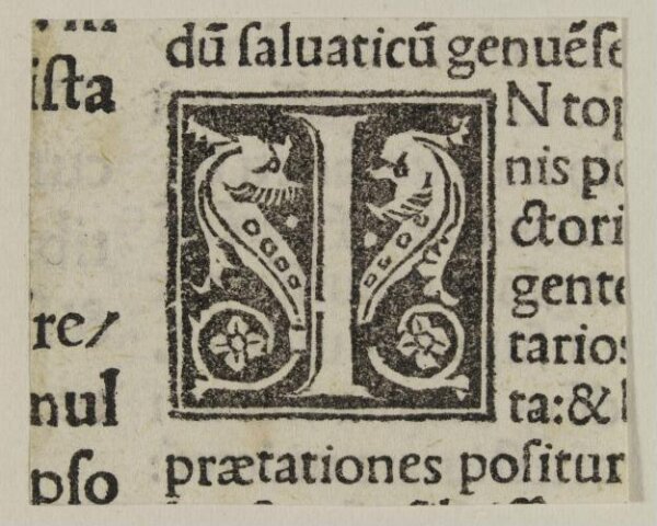 Print | Scotus, Octavianus | V&A Explore The Collections