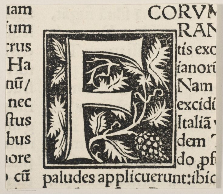 Print | Müller, J | V&A Explore The Collections