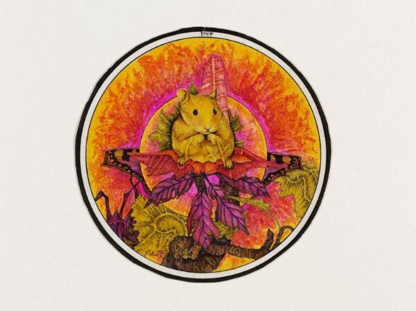 Dandelion | John Hurford | V&A Explore The Collections