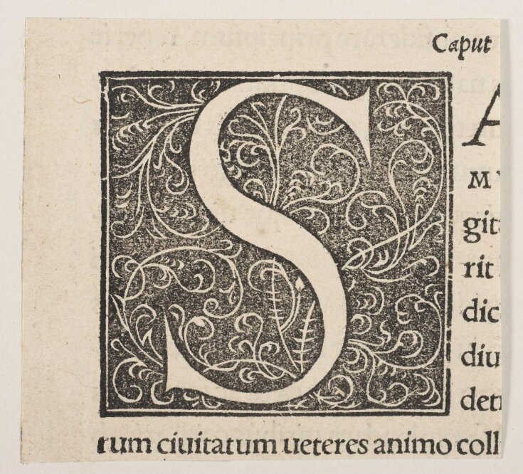 Print | Alopaeus, Hero | V&A Explore The Collections