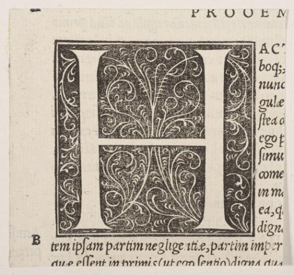 Print | Alopaeus, Hero | V&A Explore The Collections