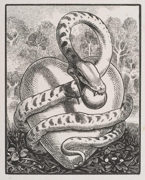 Quarles' Emblems | Rogers, William, Harry | V&A Explore The Collections