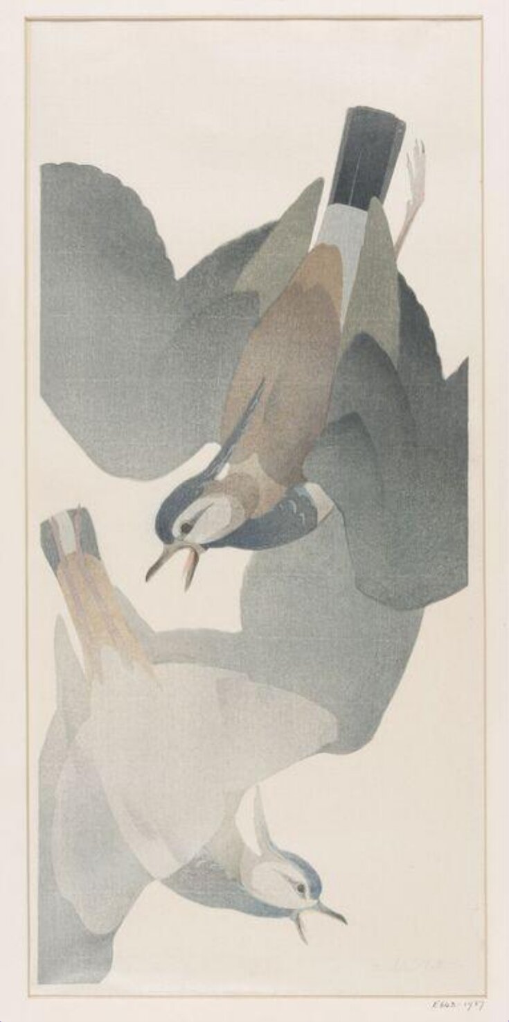 Lapwing | Platt, John Gerald | V&A Explore The Collections