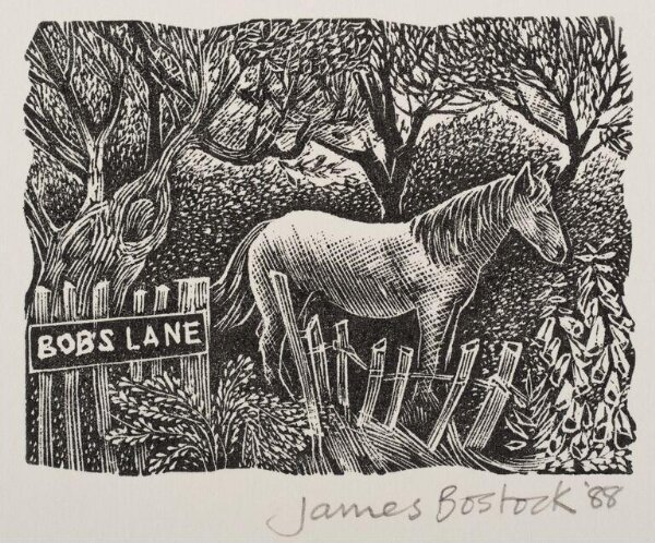 Print | James Edward Bostock | James Edward Bostock | V&A Explore The ...