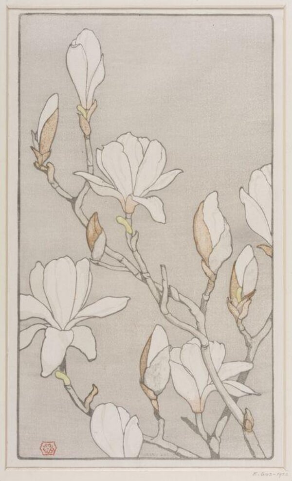 Magnolia | Mary Batten | V&A Explore The Collections