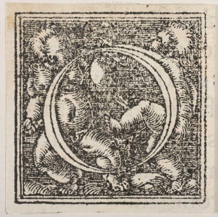 Print | Müller, Kraft | V&A Explore The Collections