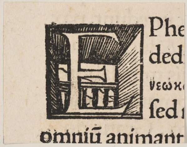 Print | Holbein, Ambrosius | Johann Froben | V&A Explore The Collections