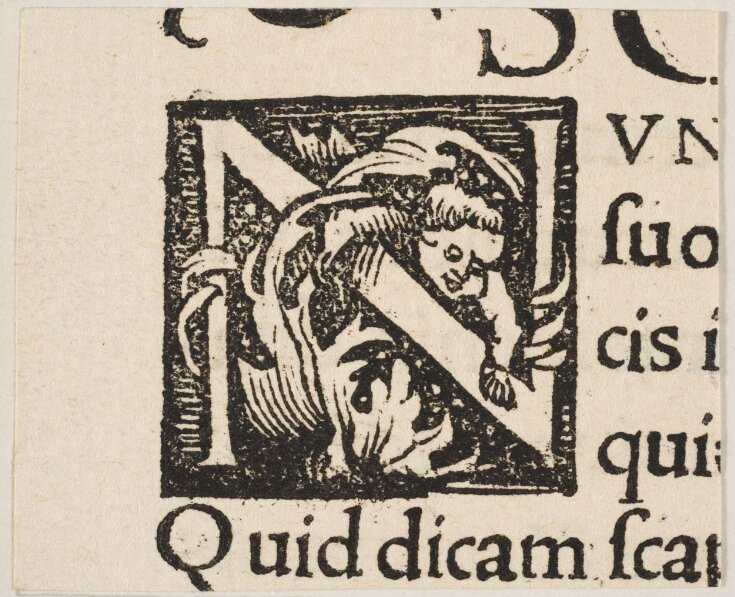 Print | Johann Froben | V&A Explore The Collections
