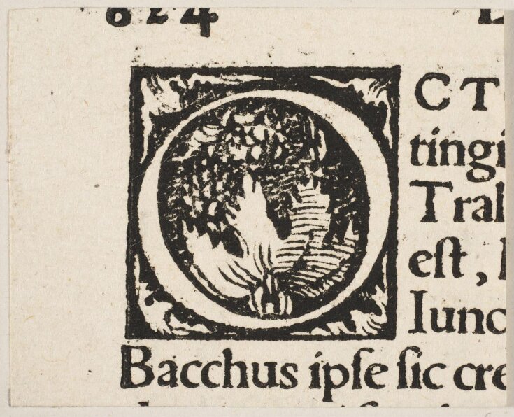 Print | Johann Froben | V&A Explore The Collections