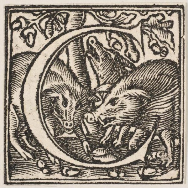 Print | Johann Froben | V&A Explore The Collections