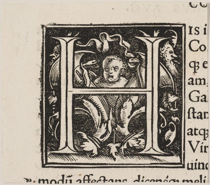 Print | Johann Froben | V&A Explore The Collections