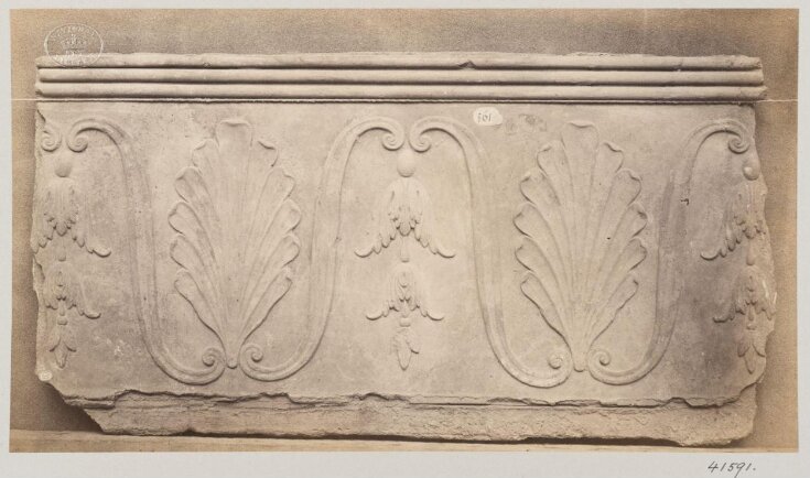 Bas-relief of a portion of a frieze depicting a palmetto and foliage in ...