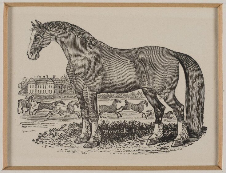 The Black Horse | Thomas Bewick | V&A Explore The Collections