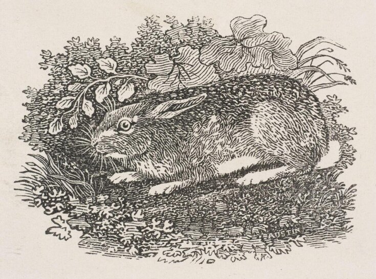 Print | Bewick, John | Bewick, Thomas | V&A Explore The Collections