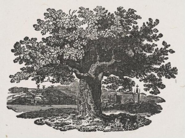 Print | Bewick, John | Bewick, Thomas | V&A Explore The Collections