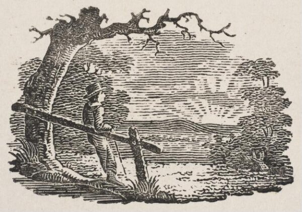 Wood Engraving | Bewick, John | V&A Explore The Collections