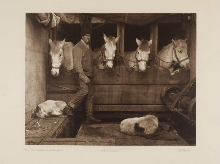 Scott's last expedition. Captain Oates and Ponies in the "Terra Nova ...