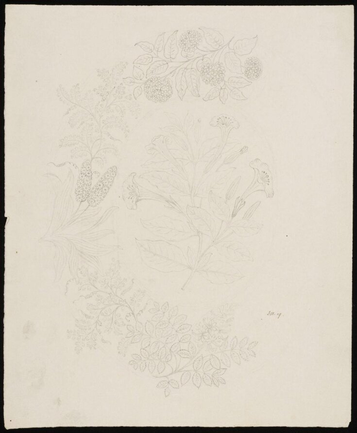 Textile Design | Joseph Neil Paton | V&A Explore The Collections