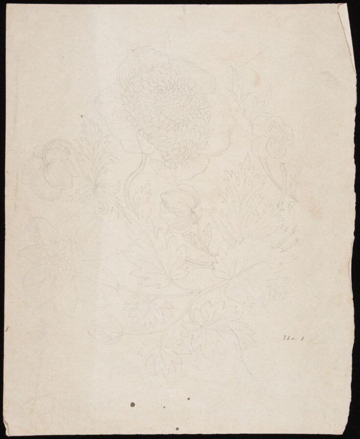 Textile Design | Joseph Neil Paton | V&A Explore The Collections