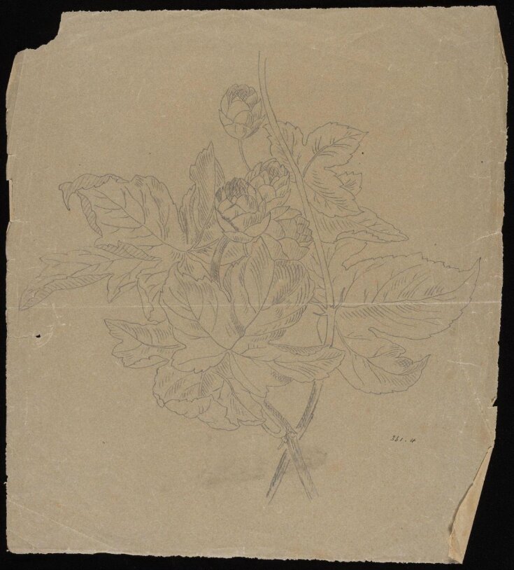 Textile Design | Joseph Neil Paton | V&A Explore The Collections