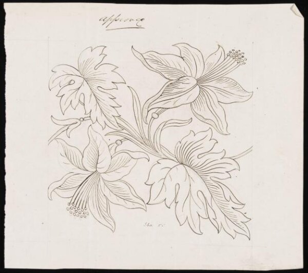 Textile Design | Joseph Neil Paton | V&A Explore The Collections