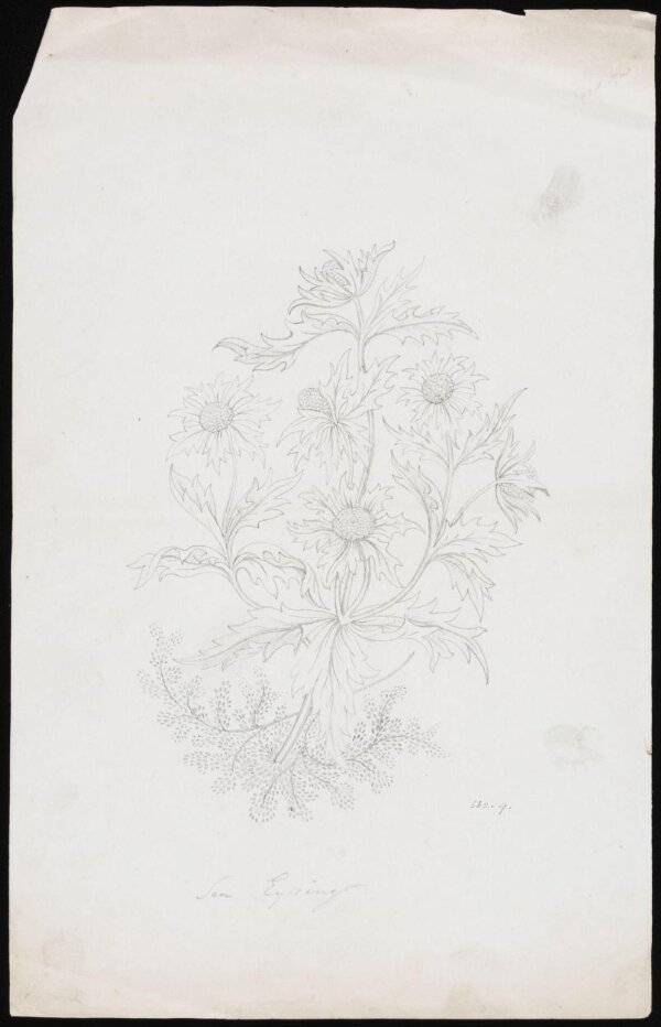 Textile Design | Joseph Neil Paton | V&A Explore The Collections