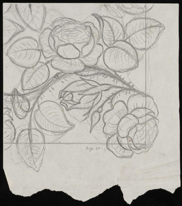 Textile Design | Joseph Neil Paton | V&A Explore The Collections