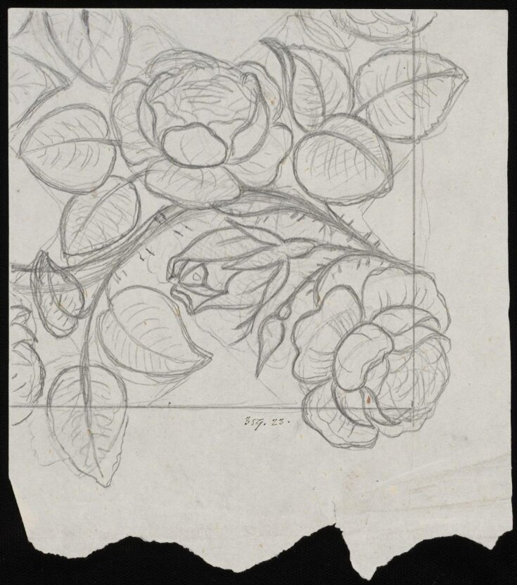 Textile Design | Joseph Neil Paton | V&A Explore The Collections