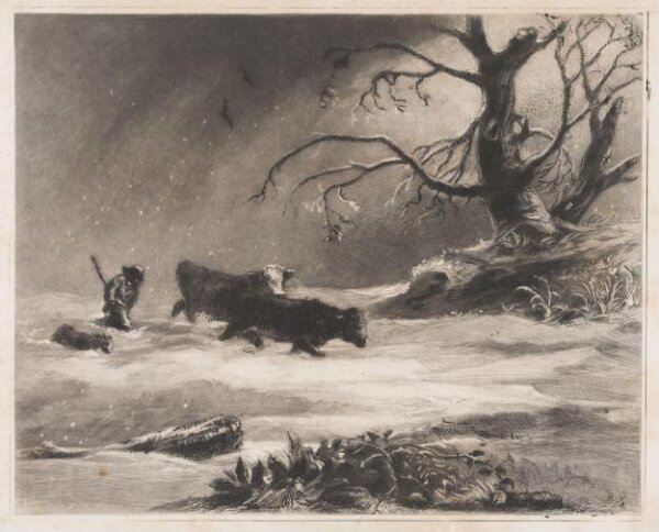 Driving Cattle - Winter | Trimmer, Henry S. | Lucas, David | V&A ...
