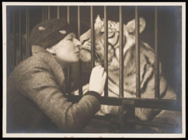 Photograph | Arthur Clive Banfield | V&A Explore The Collections