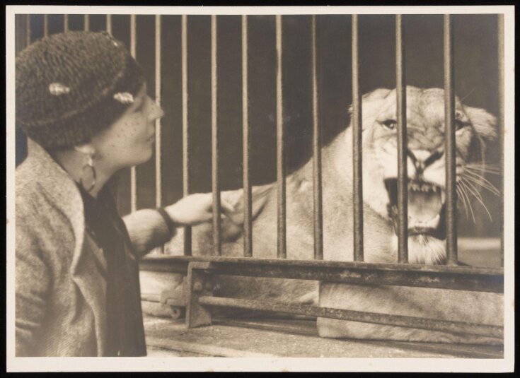 Photograph | Arthur Clive Banfield | V&A Explore The Collections