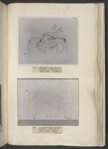 Drawing | Henri Gaudier-Brzeska | V&A Explore The Collections
