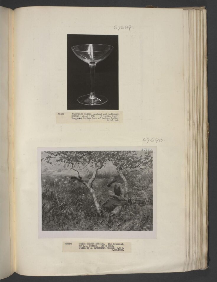 The Botanist | Pocock, Lexden Lewis | V&A Explore The Collections