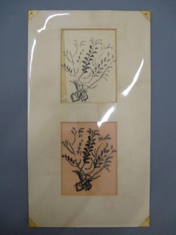 Sampler | Mary Kessell | V&A Explore The Collections