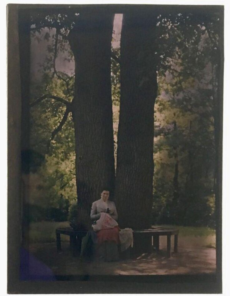 Mama under the Oak Tree | Paneth, Friedrich Adolf | V&A Explore The ...