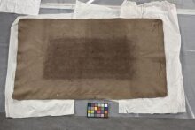 Carpet | Unknown | V&A Explore The Collections