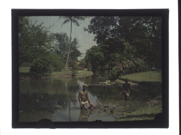 Eden Garden, Calcutta | Messinger Murdoch, Helen | V&A Explore The ...
