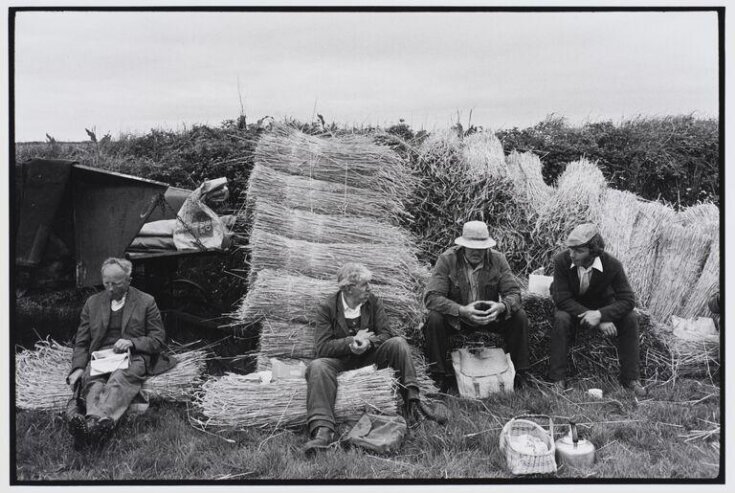 Reedcombers’ tea-break, Westacott, Riddlecombe, N. Devon, 1974 ...
