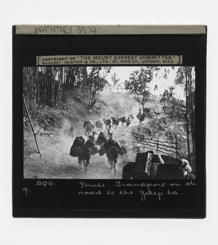 Slide 9. Mule Transport on the Road to Jelep La | Wollaston, Sandy ...