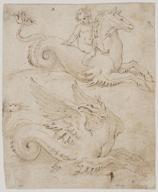 Recto: Two sea monsters, one with a putto on its back; verso: A leopard ...