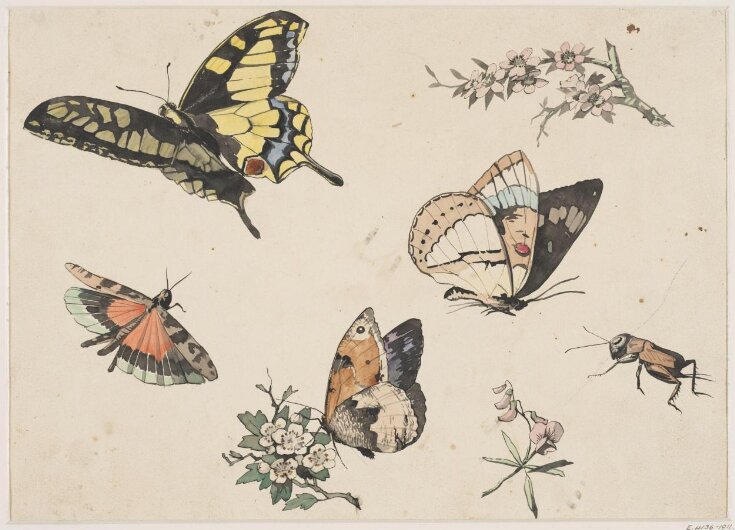 Drawing | anonymous | V&A Explore The Collections