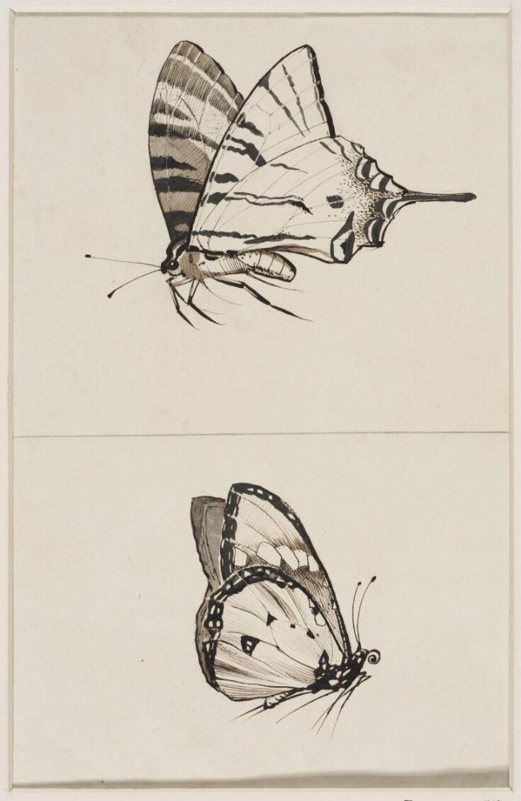 Drawing | anonymous | V&A Explore The Collections