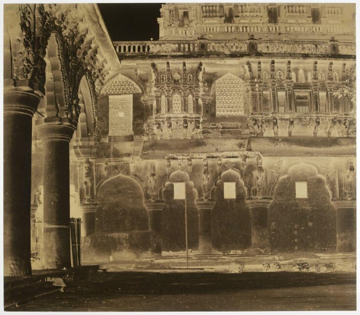 Photograph | Tripe, Linnaeus | V&A Explore The Collections