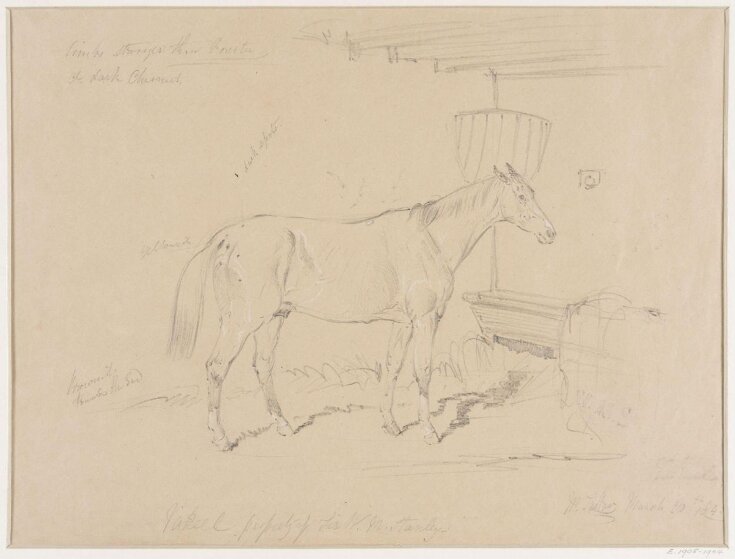 Vakeel, property of Sir W. M. Stanley | Tasker, William H. | V&A ...