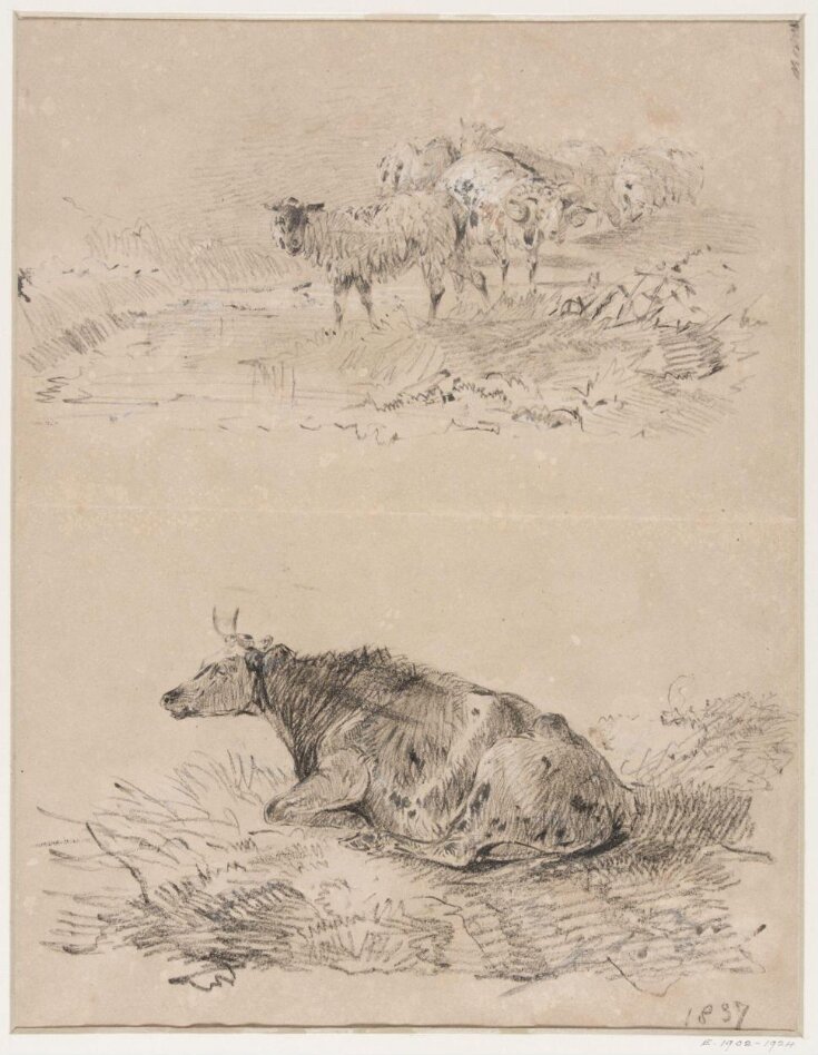 Drawing | Tasker, William H. | V&A Explore The Collections